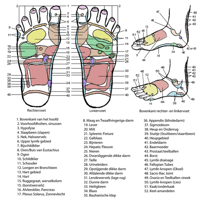 Voetreflexologie | Natuurgeneeskundig en orthomoleculair therapeut ...